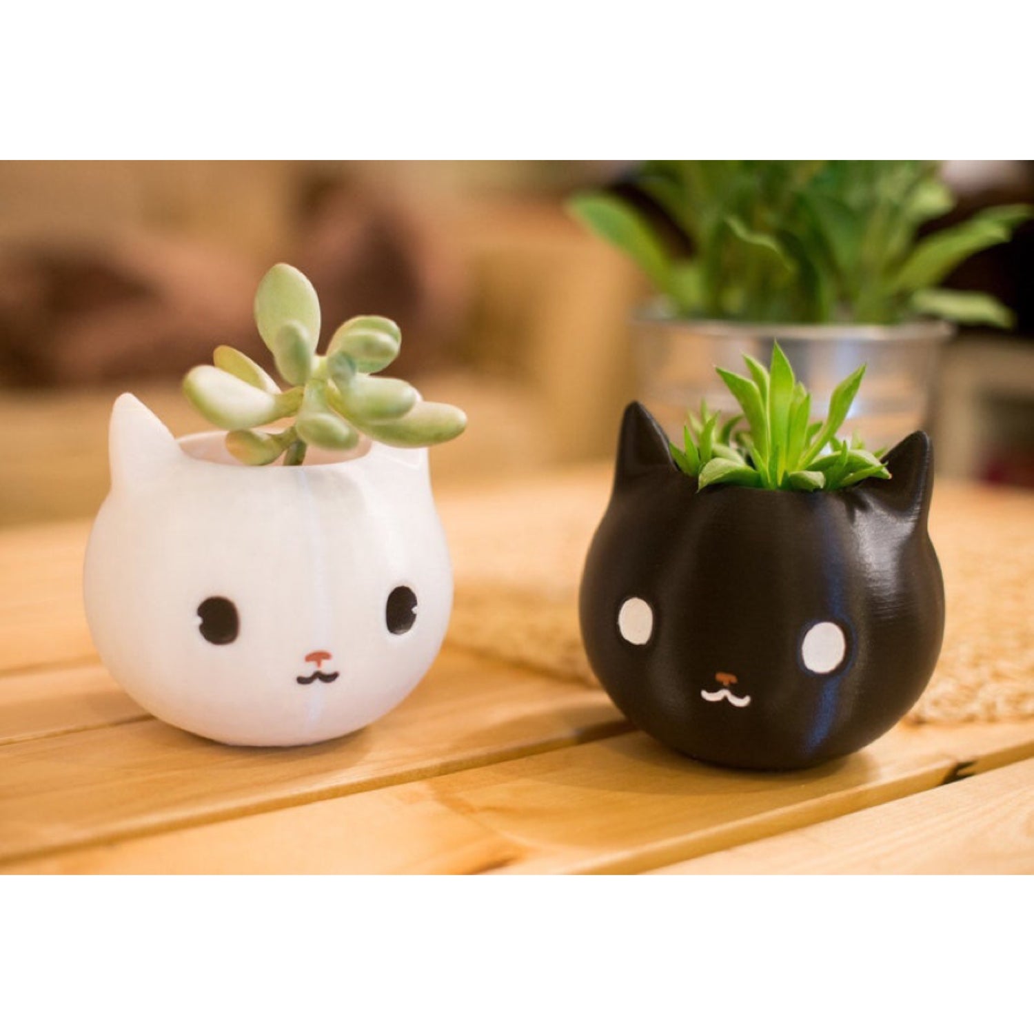 Planters + Wall Decor, Best customizable gifts | Meow3D